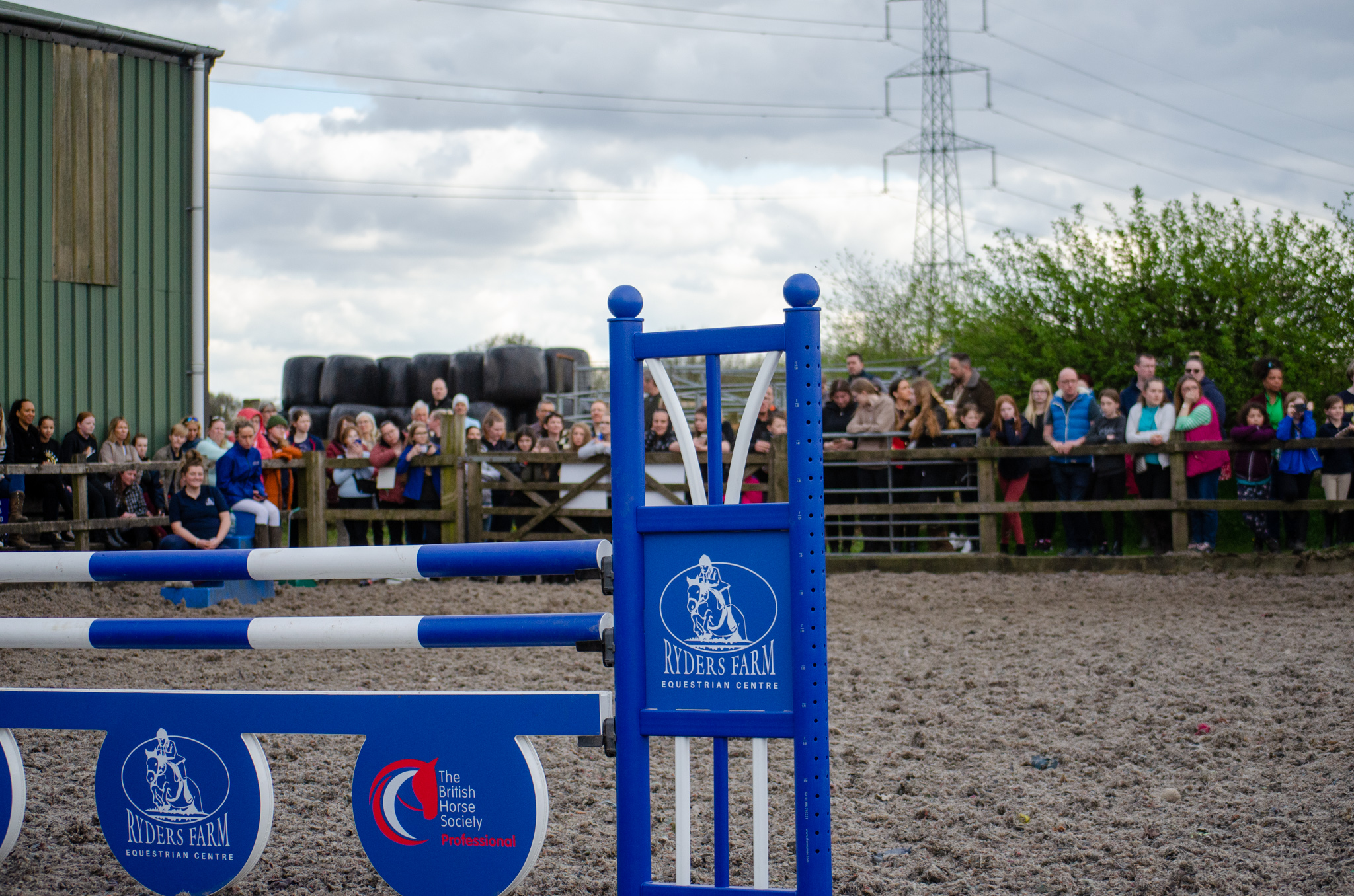 Beginner Riding Course